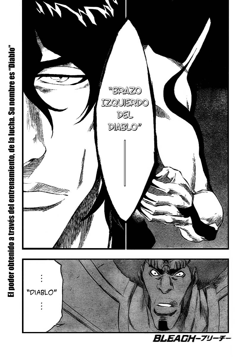 Bleach Capitulo 261 En línea